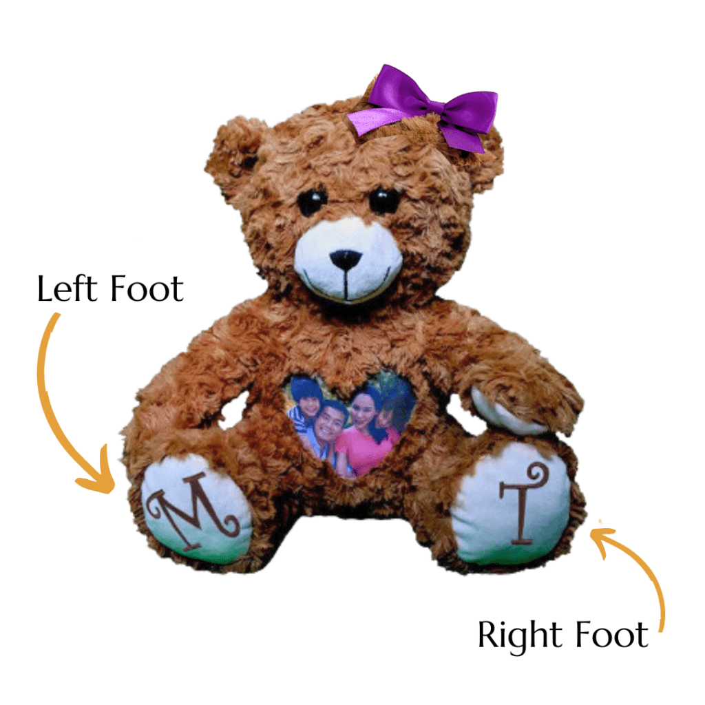 Cozy Cuddler Bear | Personalized Photo Teddy Bears | Voice and Image ...